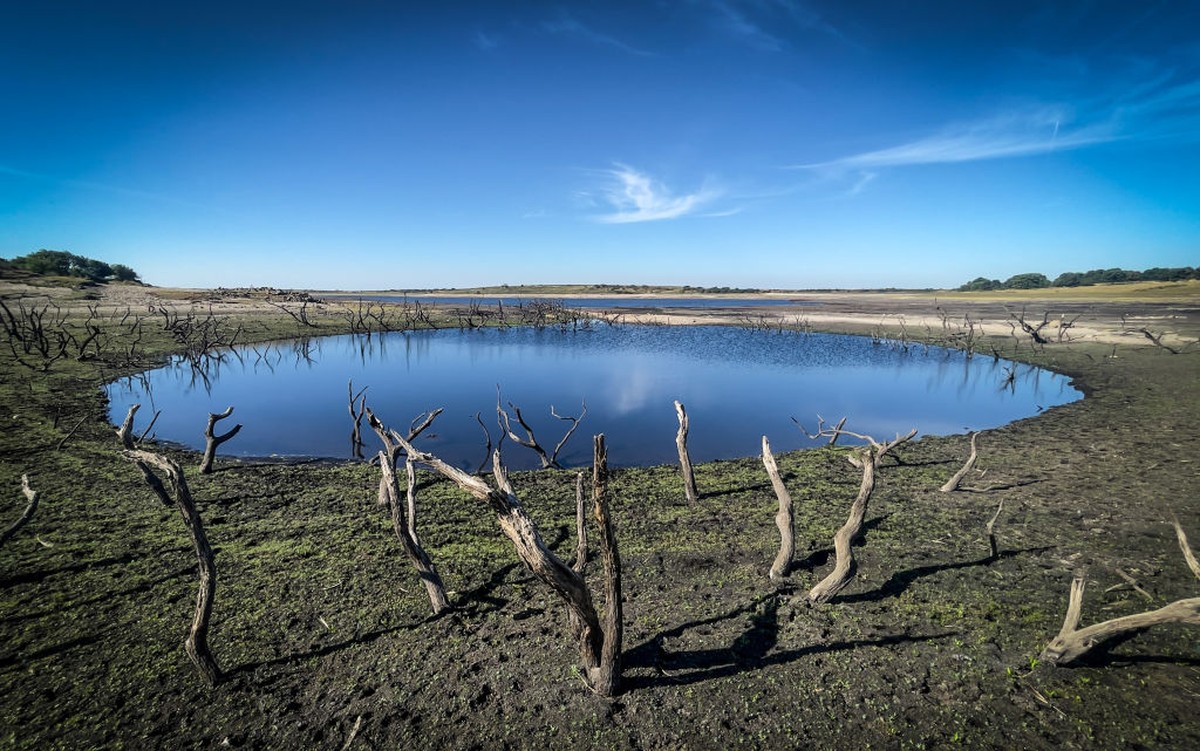 Em meio à seca na Europa, Semana Mundial da Água discute soluções para ...
