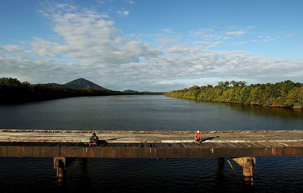 Austrália estuda política de abate para diminuir população de ...