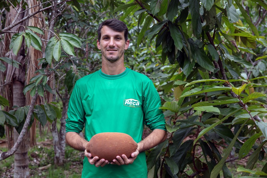 Safra recorde de cupuaçu em Rondônia reforça papel do RECA como símbolo ...