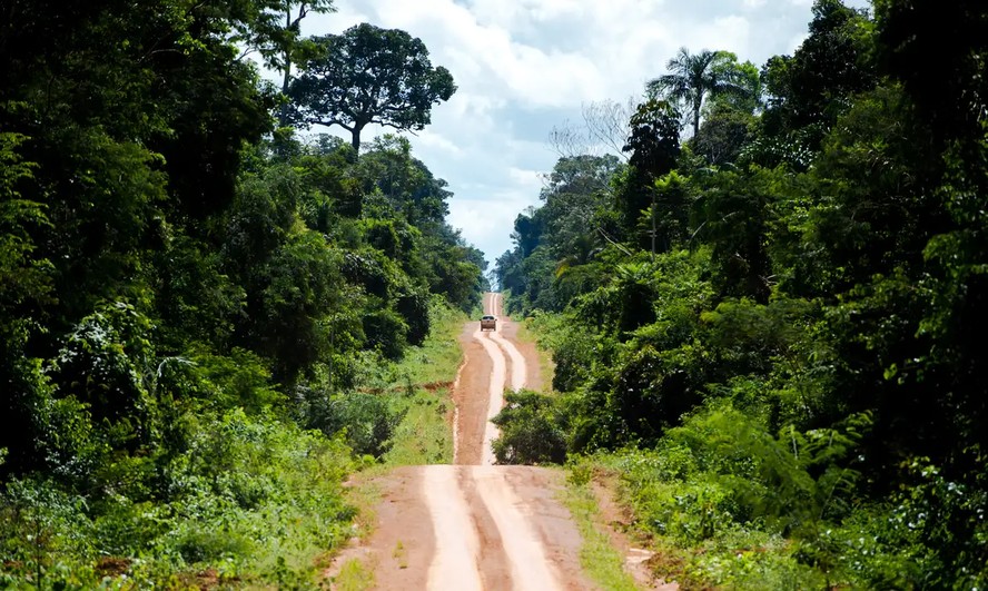 As estradas que o Brasil mais precisa não passam pela Amazônia