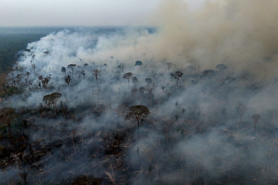 Fogo na Amazônia supera recordes e 2024 já é ano com maior área queimada