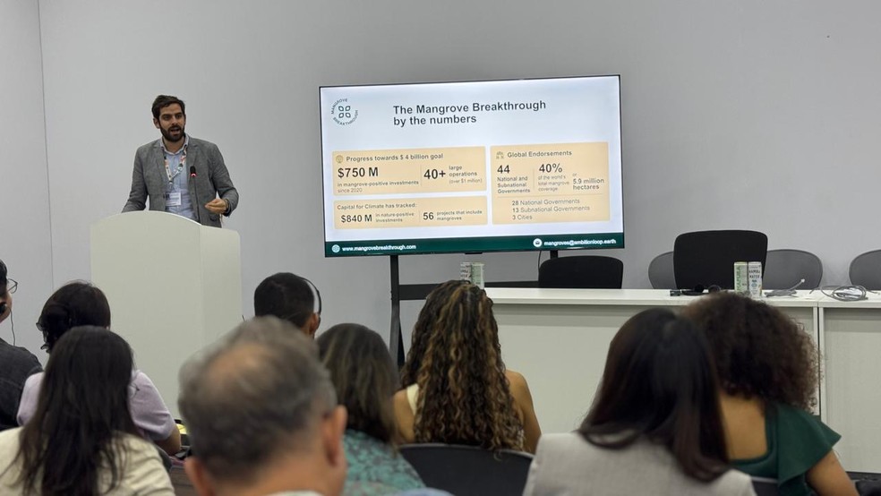 Iniciativa mira US$ 4 bi para proteger 15 milhões de hectares de mangue ...