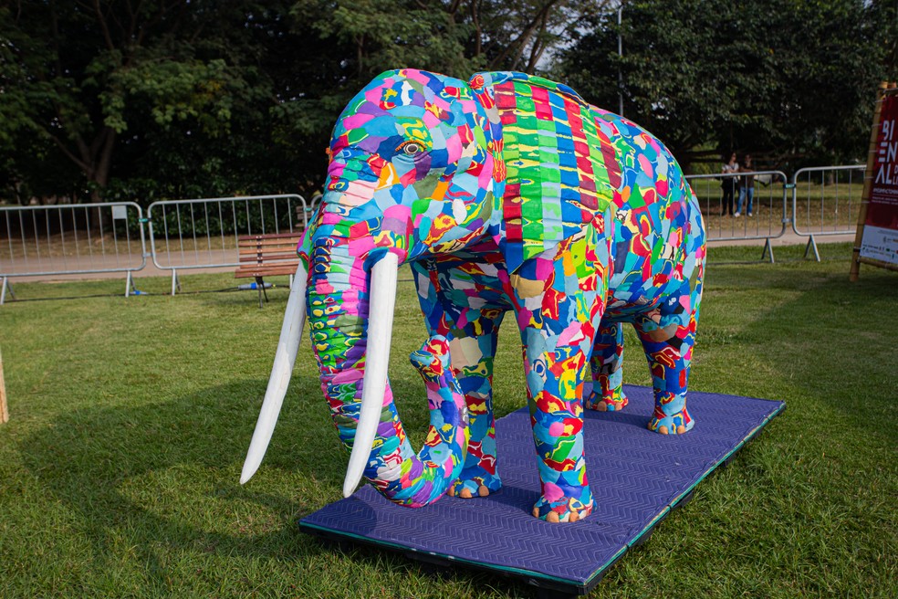 Arte feita de resíduos é destaque da Bienal do Lixo que chega ao fim ...