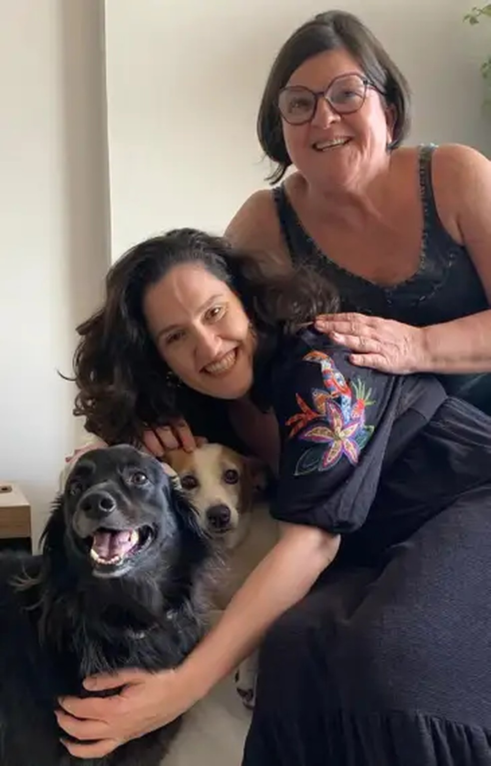 Dia do Amigo: convívio com animais traz benefícios à saúde física e ...