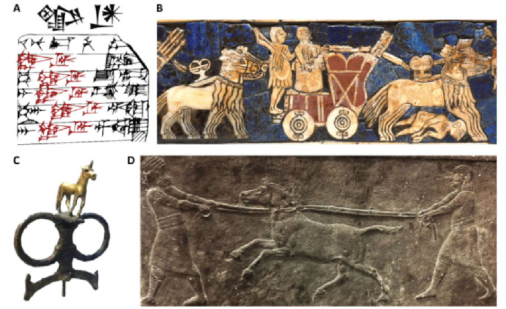 Cientistas identificam primeiro animal híbrido criado por humanos há 4. ...
