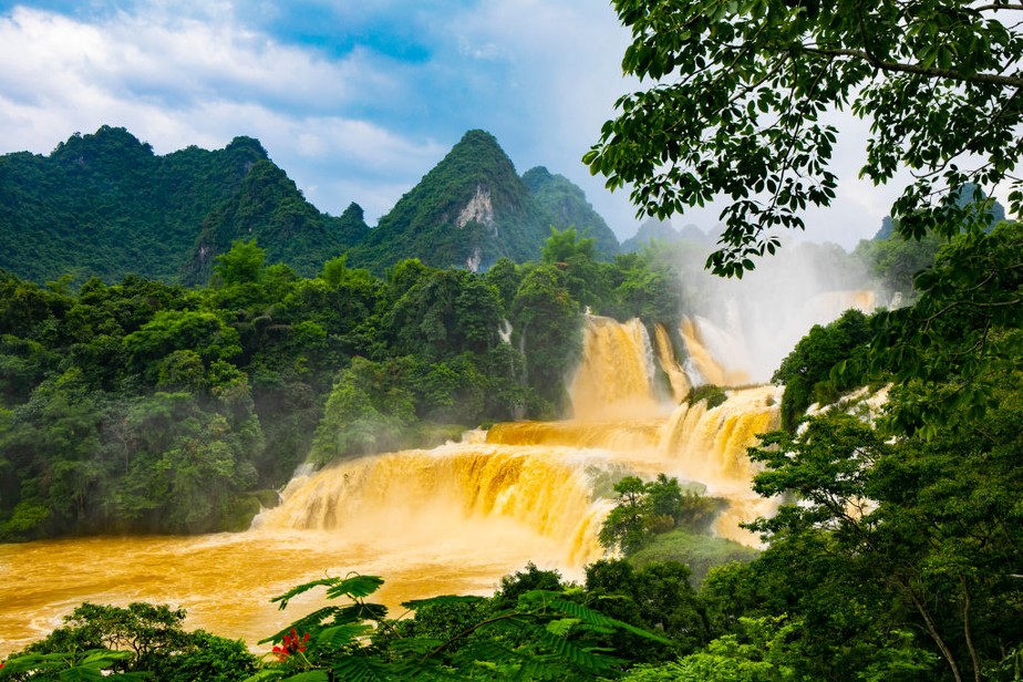 China anuncia plantio de 36 mil km² de árvores por ano até 2025 | Clima ...