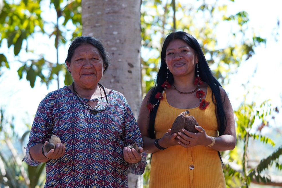 Um Só Planeta: confira a série de reportagens especiais 'No Clima dos ...