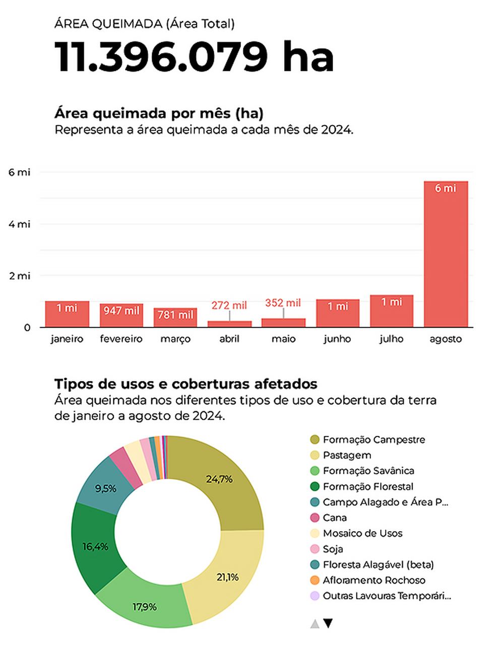 Agosto responde por quase metade da área queimada no Brasil em 2024