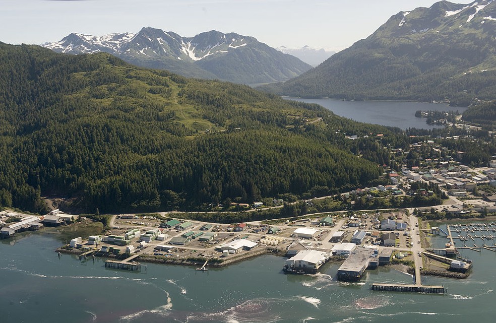 Como verme do gelo se tornou estrela principal de festival no Alasca ...
