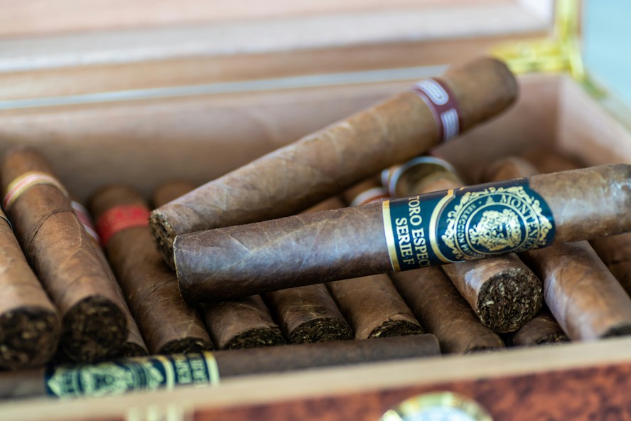 Charutos cubanos sob ameaça: mudanças climáticas afetam cultivo do tabaco