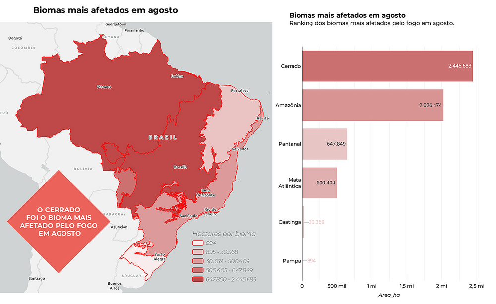 Agosto responde por quase metade da área queimada no Brasil em 2024 ...