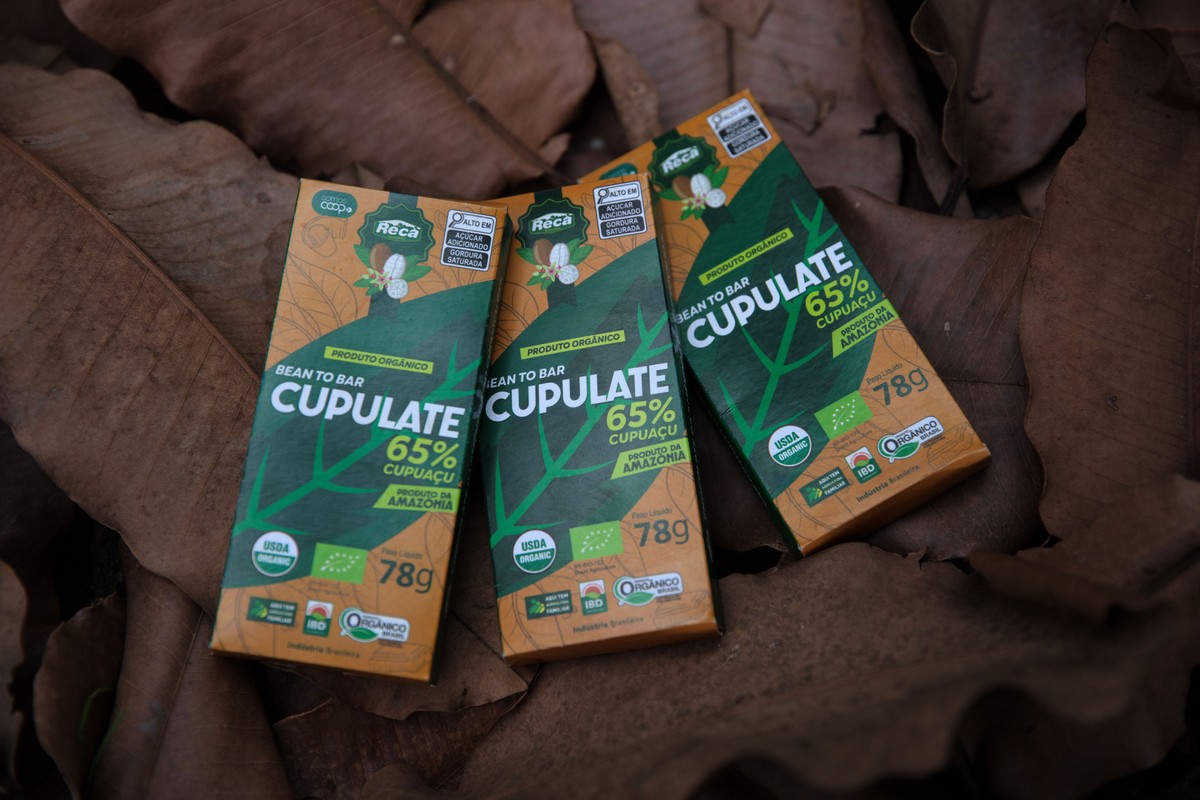 Cupulate, o “chocolate da Amazônia”: RECA aposta em produto exclusivo ...