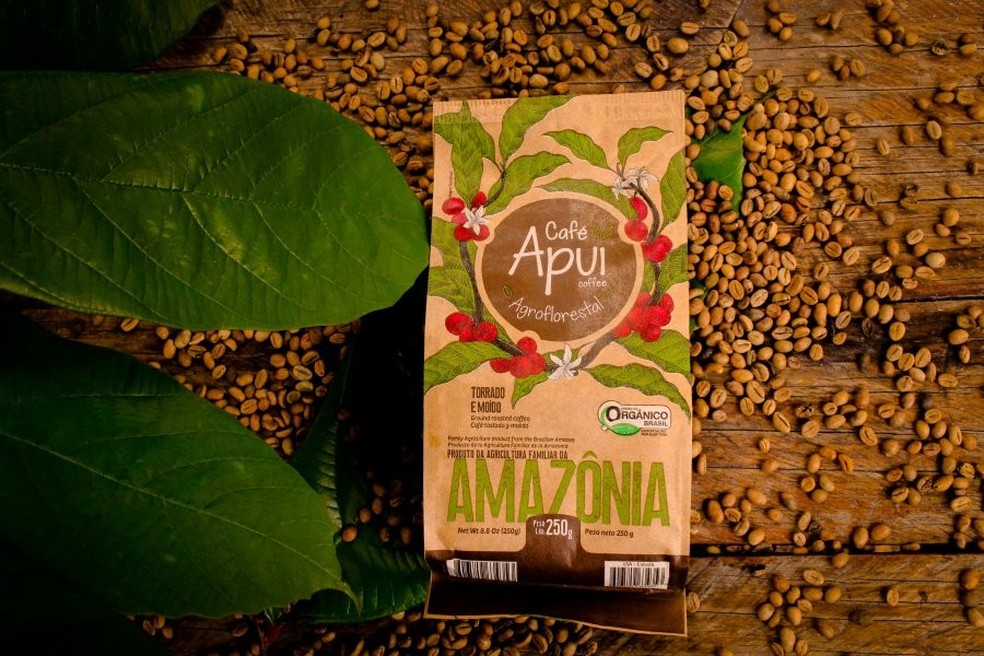 Produção brasileira de café vive renascimento sustentável na Amazônia ...