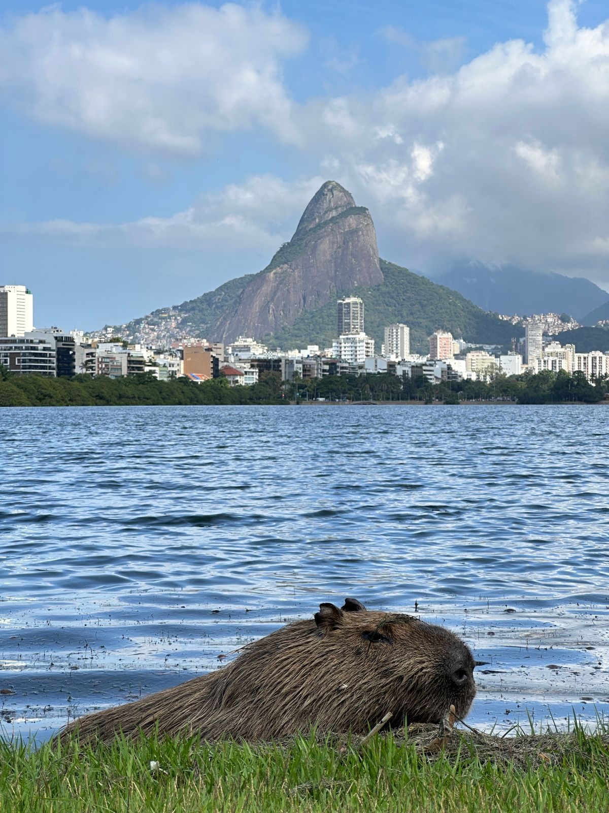 Aegea atua em diferentes frentes em prol do desenvolvimento sustentável ...