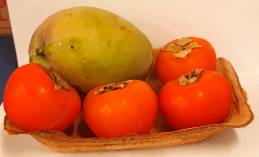 Bandejas de amido e cúrcuma são alternativa potencial para substituir o ...