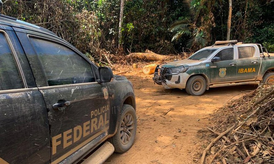 Ibama estabelece diretrizes de ações ambientais para 2024 | Sociedade ...