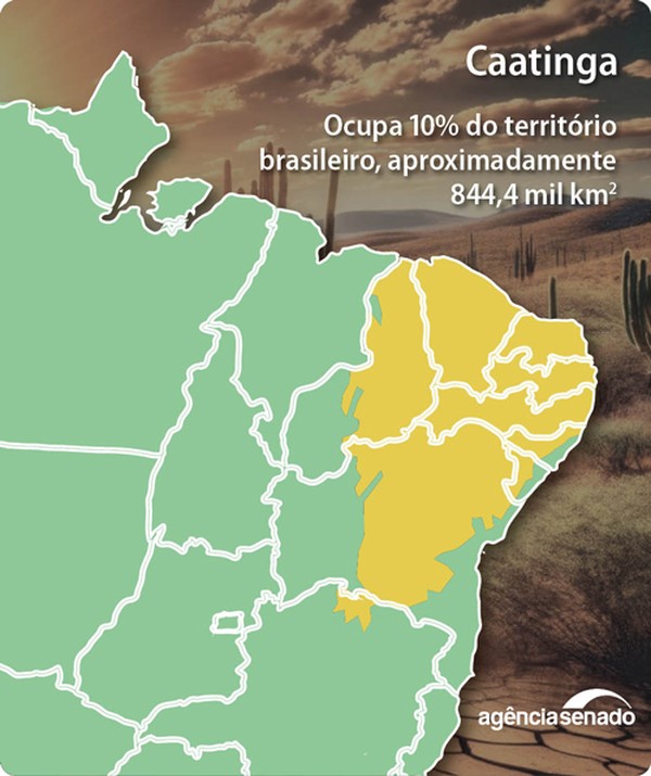Mudanças climáticas ameaçam a Caatinga com desertificação e perda de ...