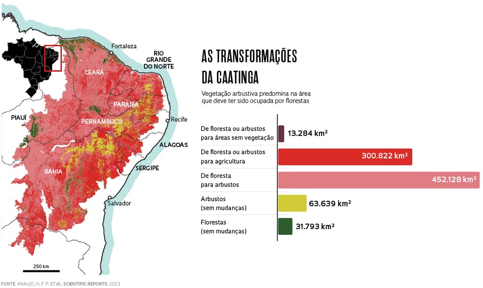 Ação humana transformou 89% da Caatinga | Biodiversidade | Um só Planeta