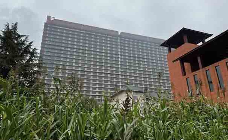 Matadouro em forma de arranha-céu: prédio para abate de porcos na China ...