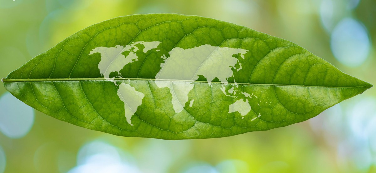 Pessoas Verdes Organicas