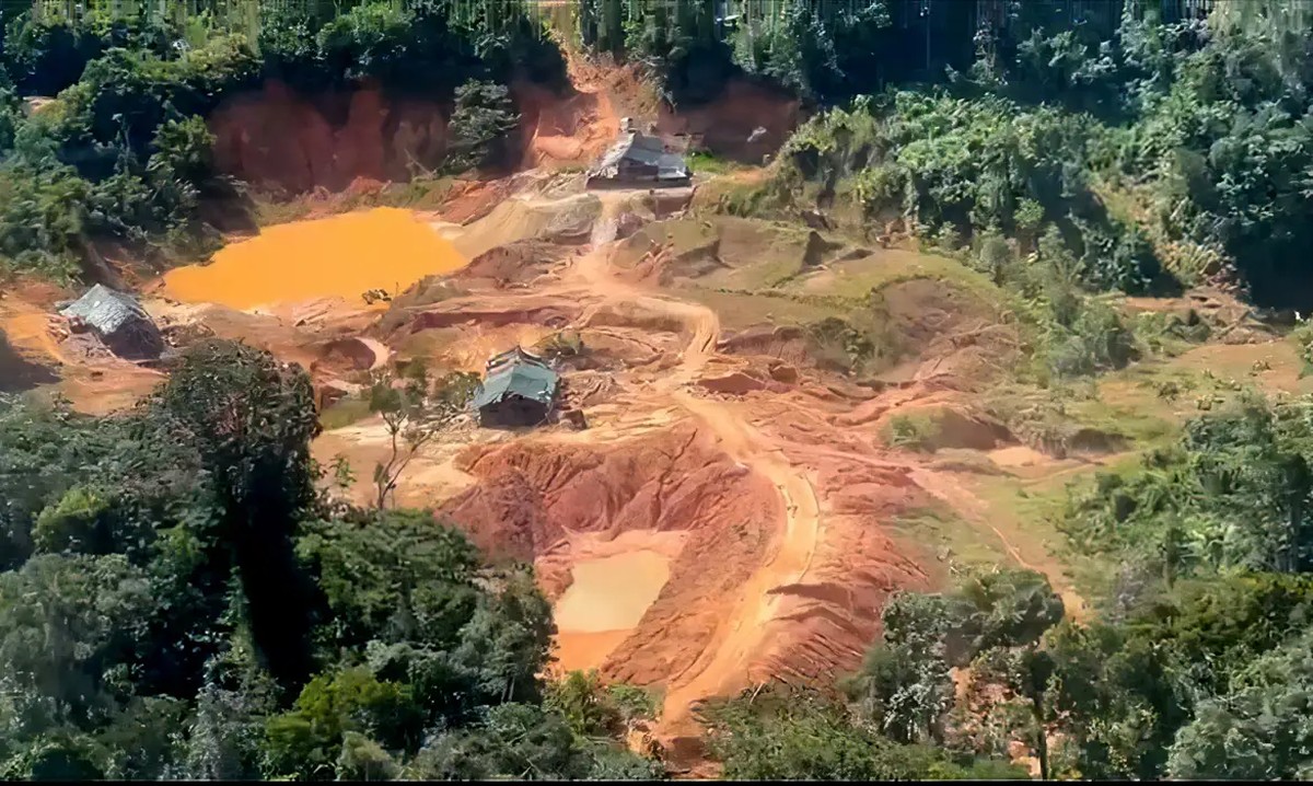 Garimpo desmatou ao menos 335 hectares em terras indígenas na Bacia do ...