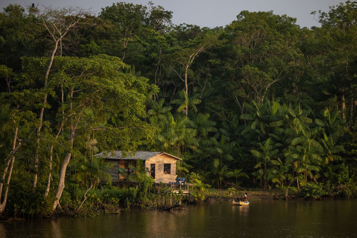Brasil possui 67 milhões de hectares sem informação fundiária e 24,6 ...