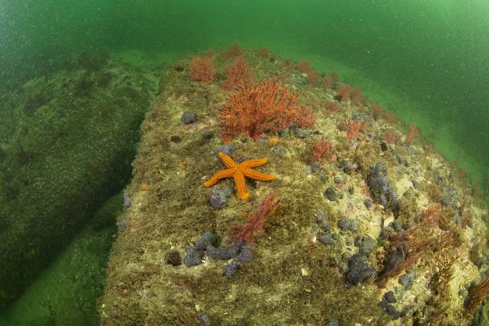 Conheça trilhas do Rio para curtir abaixo e acima do nível do mar