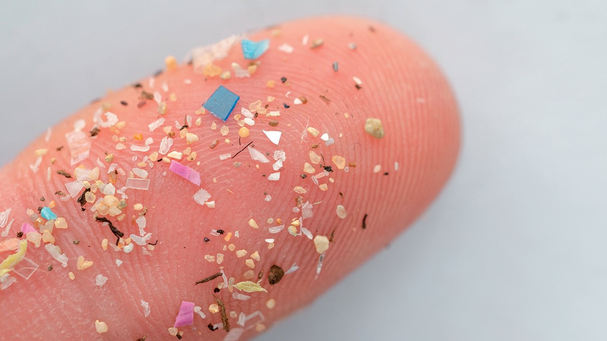 Microplástico é encontrado no cérebro humano, mostra estudo
