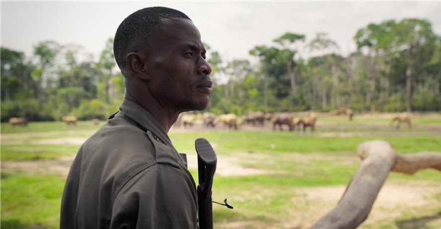 Guardiões da natureza: série idealizada pelo Príncipe William dá visibilidade aos guardas florestais