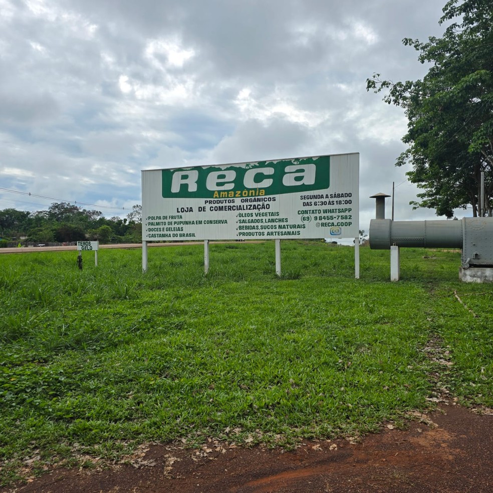 Safra recorde de cupuaçu em Rondônia reforça papel do RECA como símbolo ...