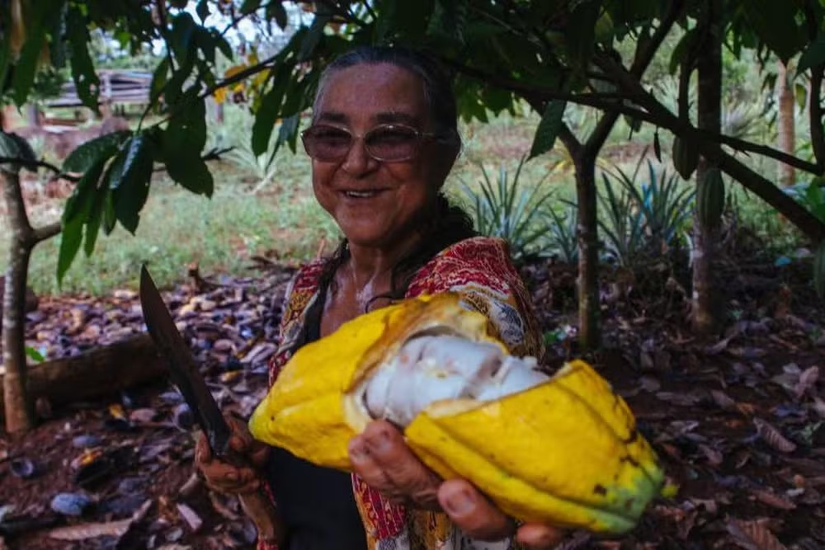 FAO reconhece Imaflora por monitoramento das emissões agropecuárias