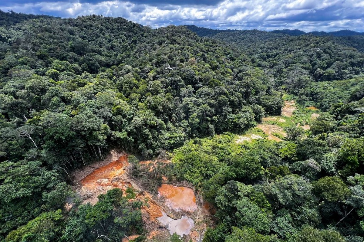 Amazônia concentra 92% de toda a área garimpada no país, revela MapBiomas