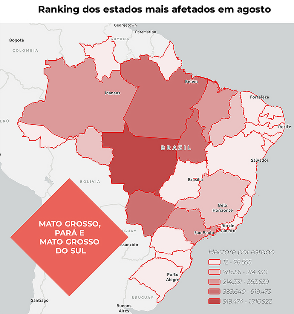 Agosto responde por quase metade da área queimada no Brasil em 2024 ...