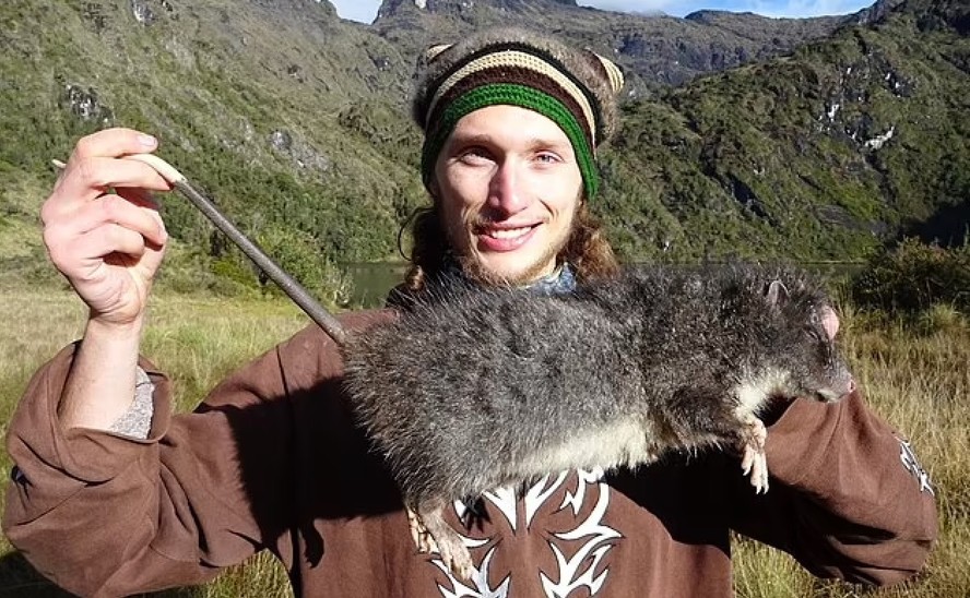 Rato gigante é flagrado pela primeira vez em floresta de Papua-Nova Guiné