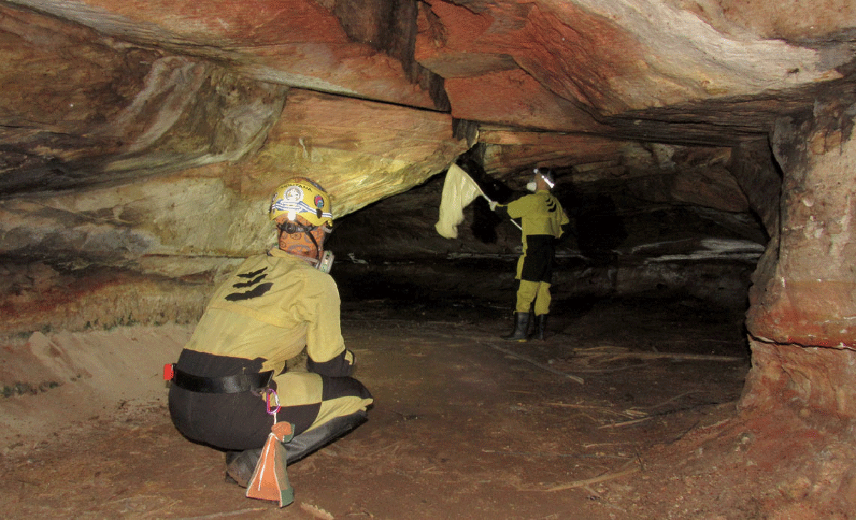 Cavernas sustentam até 75% dos serviços essenciais da natureza, mas ...