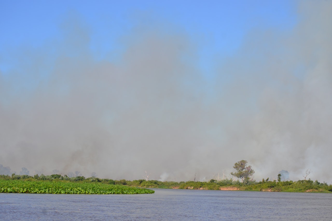 No Clima Dos Biomas Incêndios No Pantanal Desafiam Brigadistas E