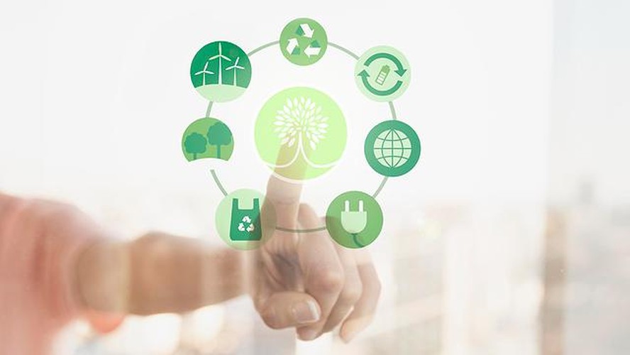 ESG é uma jornada compartilhada: como marcas e seus ecossistemas podem ...