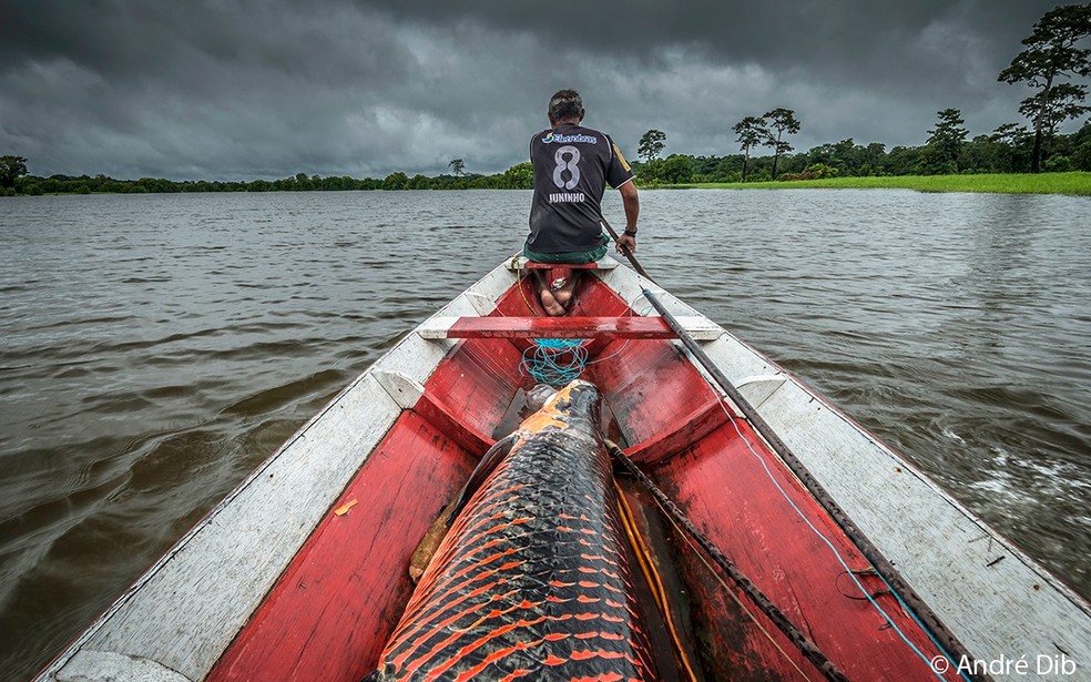 Projetos buscam tornar a pesca brasileira mais sustentável