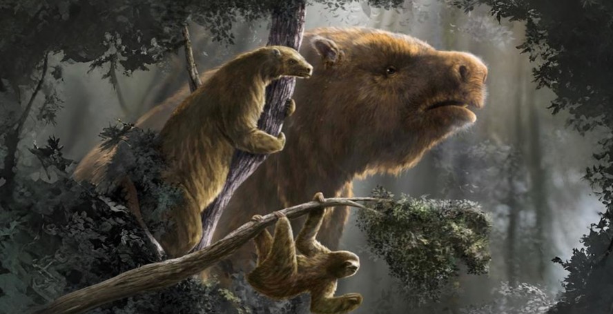 Preguiça-gigante: ação humana moldou evolução e extinção da preguiça ...