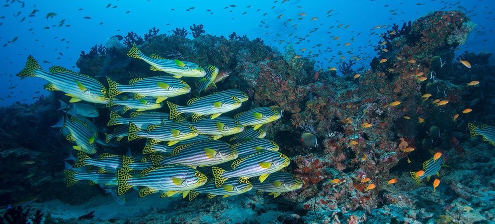 Oceano e clima: uma relação de interdependência