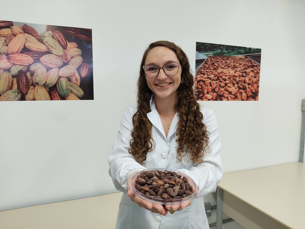 No Pará, maior produtor de cacau do país, ciência é aliada para ...