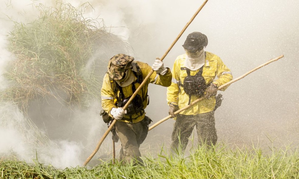 Pantanal Tem Mais De 3 Mil Incêndios Em Novembro Recorde Histórico