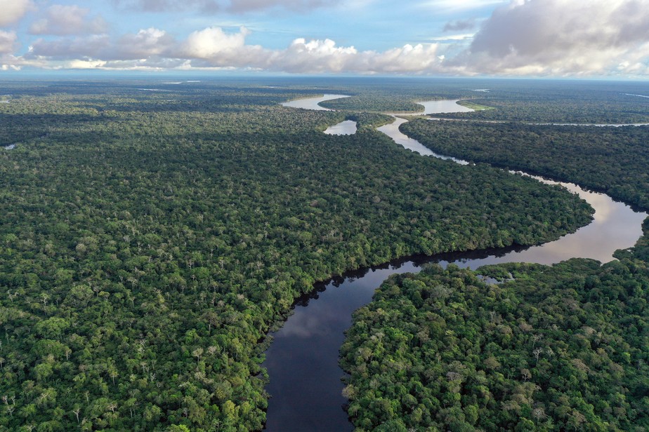Desmatamento na Amazônia cai 68% em abril de 2023 | Clima | Um só Planeta