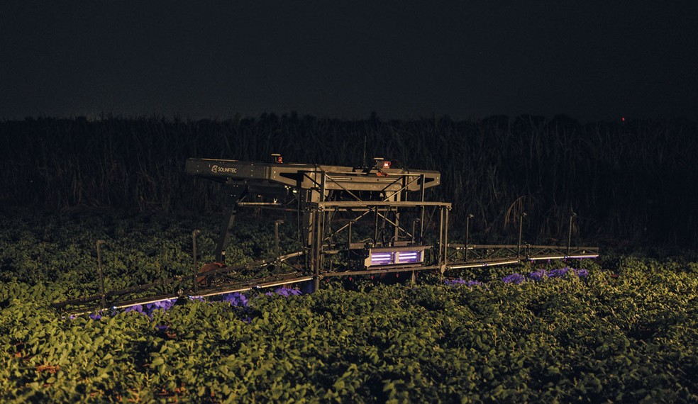 Robô elimina plantas invasoras e insetos-praga que prejudicam a lavoura