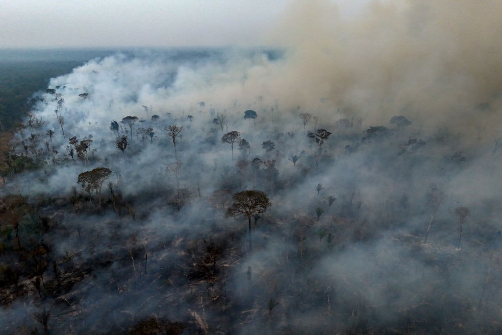 As queimadas na Amazônia e os rios voadores que viraram nuvens de fumaça