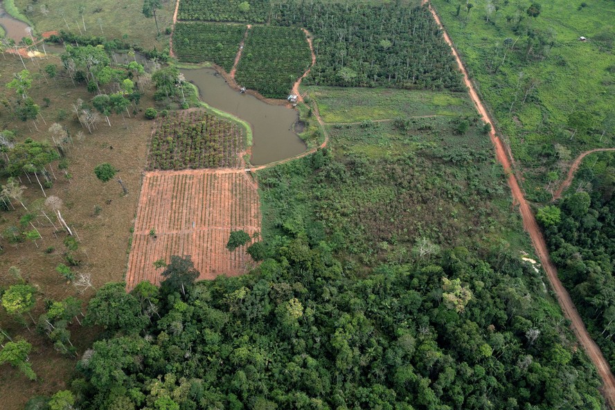RECA: da fronteira esquecida ao laboratório amazônico de agroflorestas