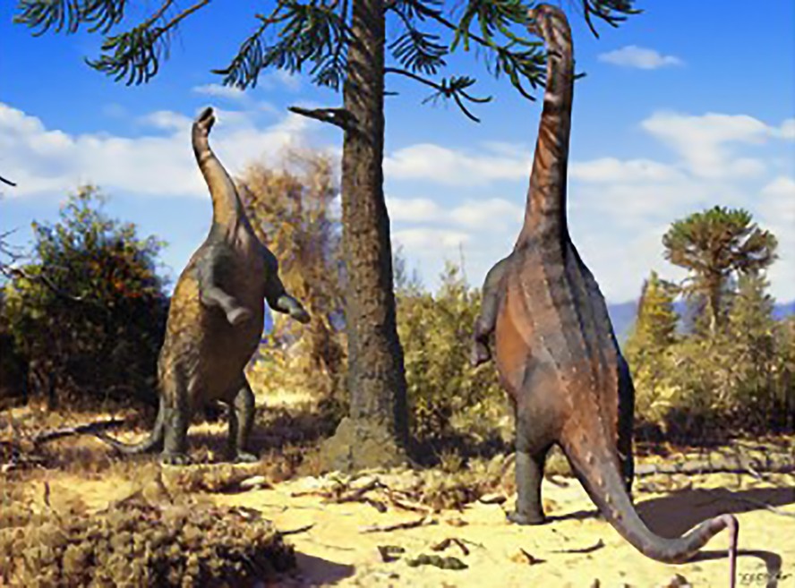 Com até 26 metros, maior dinossauro do Brasil podia ficar de pé sobre ...