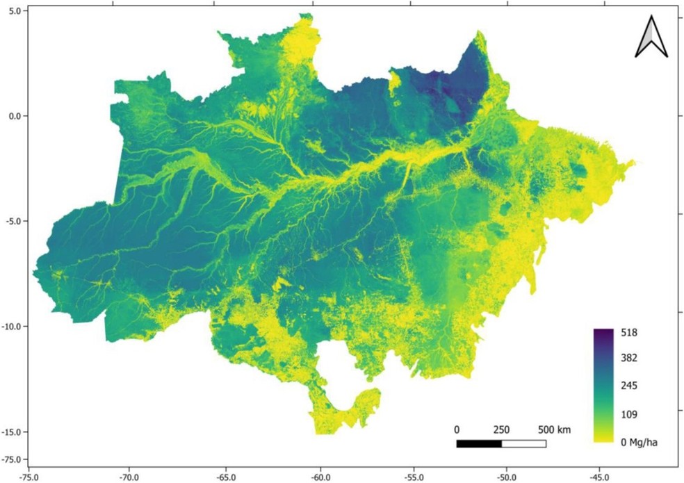 Novo mapa traz o levantamento total da biomassa da Floresta Amazônica
