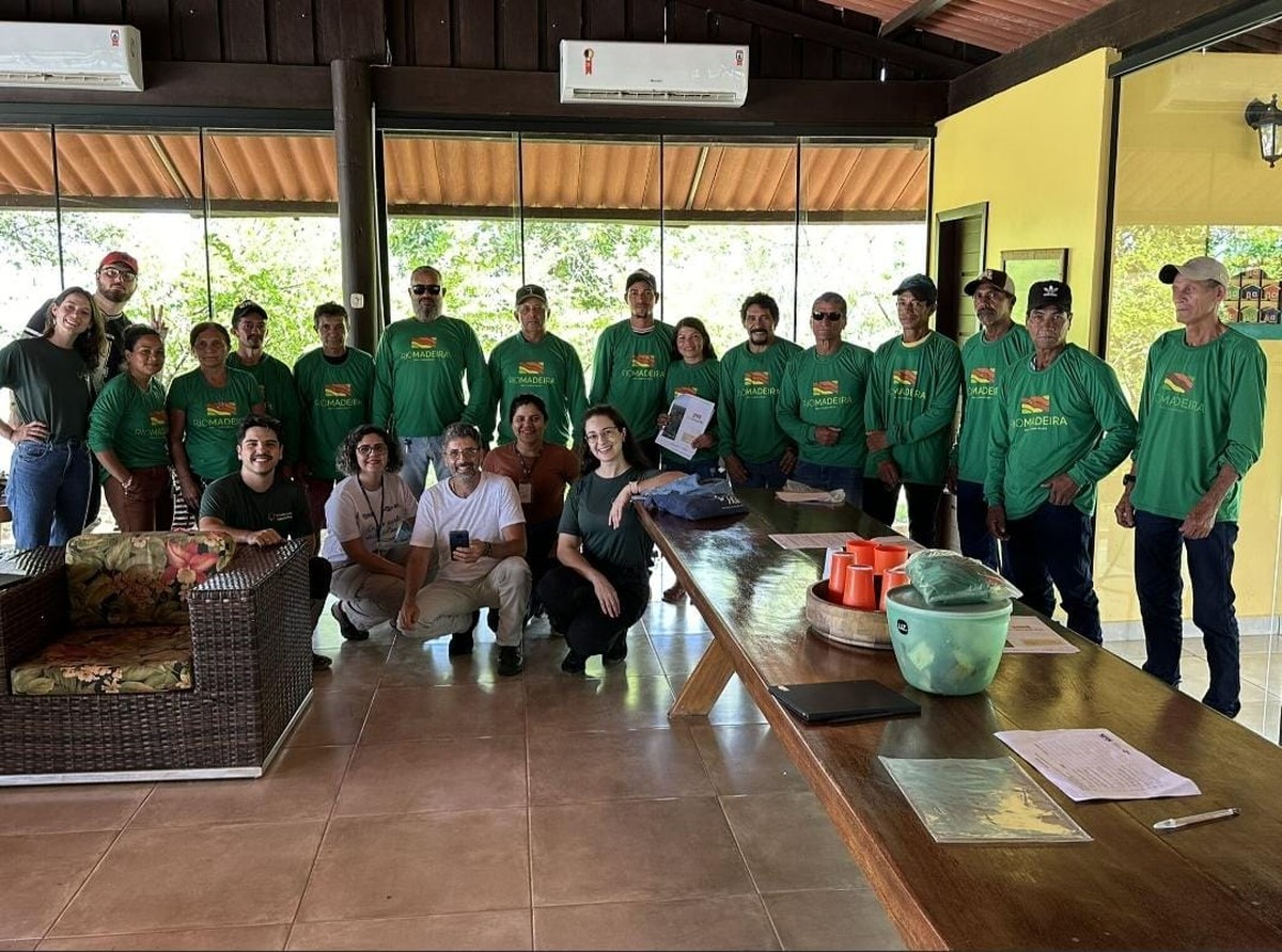 Muito além dos créditos de carbono: projeto no 'arco do desmatamento' fortalece floresta e ...