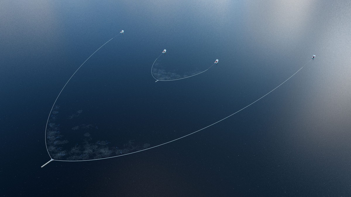 Conheça cinco projetos com metas ambiciosas para proteger os oceanos